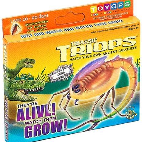 TOYOPS Triassic Triops Hatch Your Own Ancient Creatures STEM Kit ...
