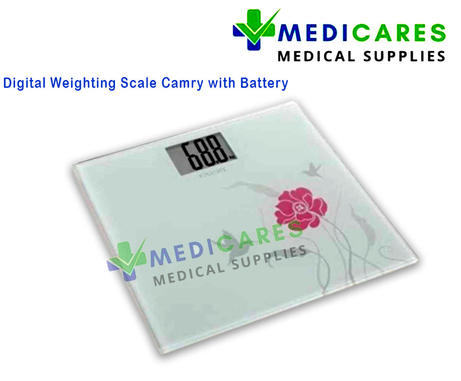 Camry Digital Weighing Scale With Battery (Assted Design) | Lazada PH