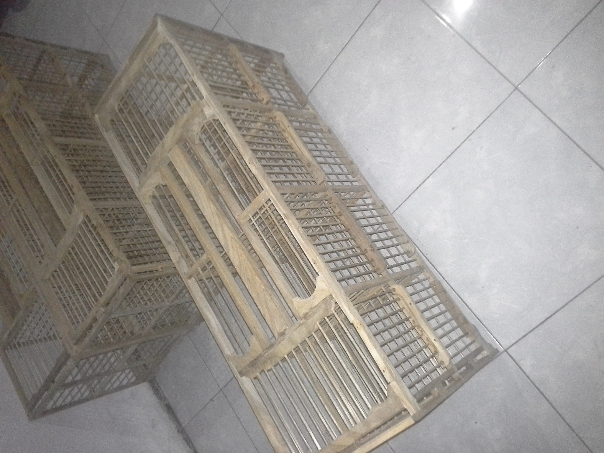 Dondang merpati | Lazada Indonesia