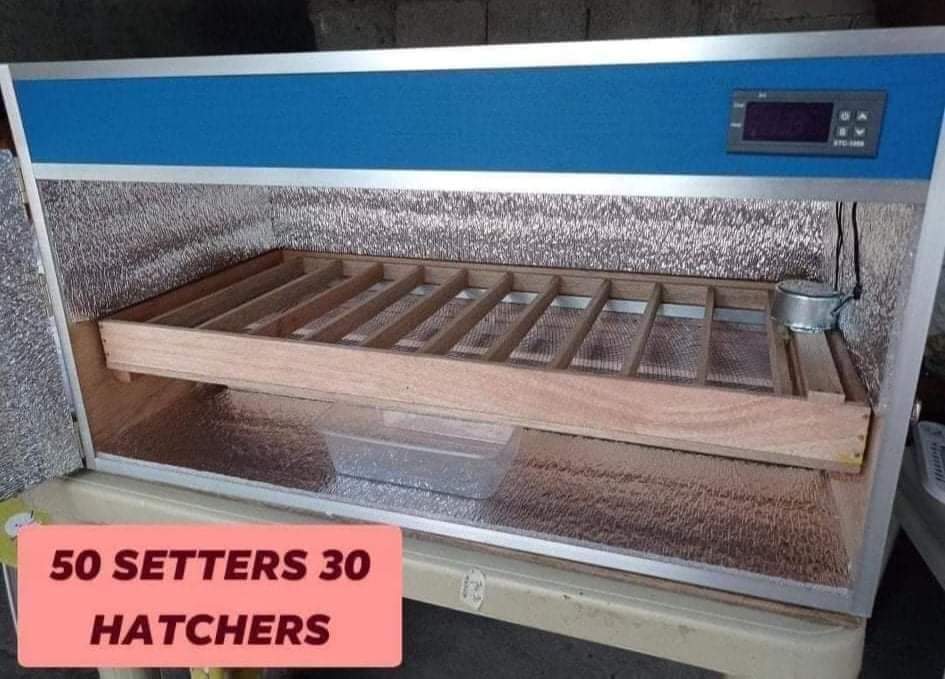 50 Setters with Hatchers Roller Type Egg Incubator | Lazada PH
