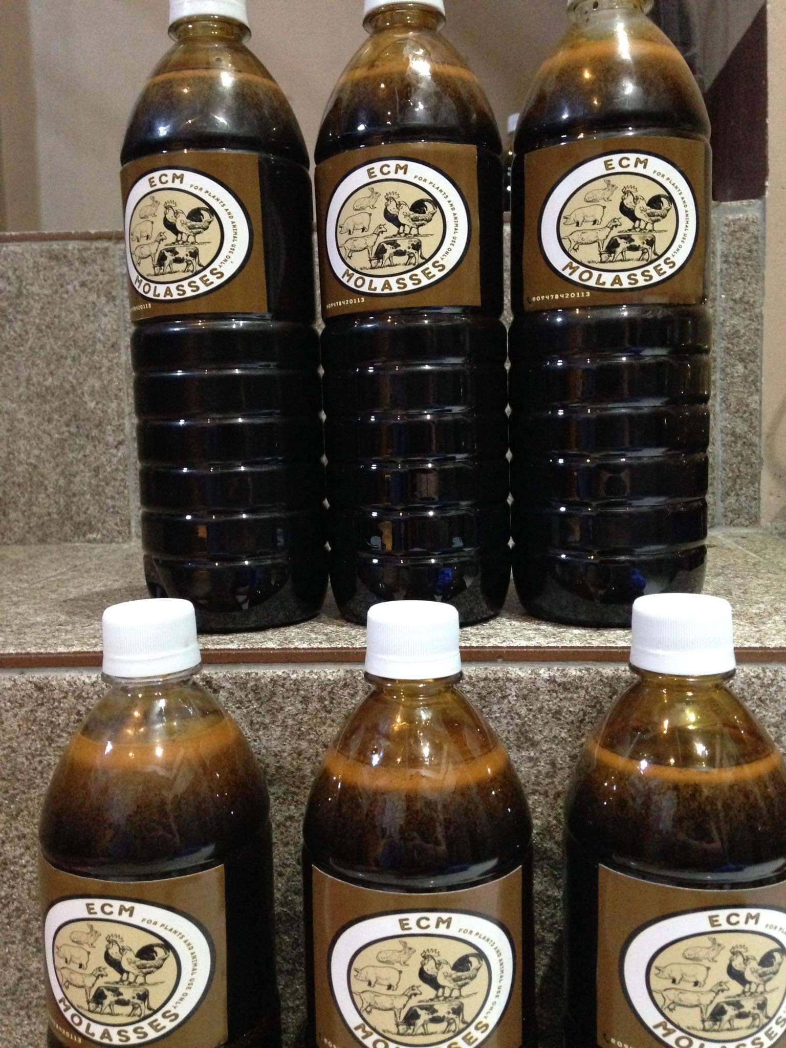 Molasses | Lazada PH
