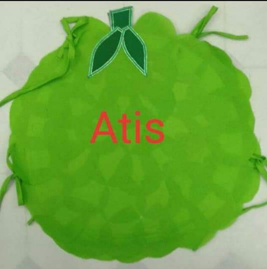 Nutrition month fruits and vegetables costume | Lazada PH
