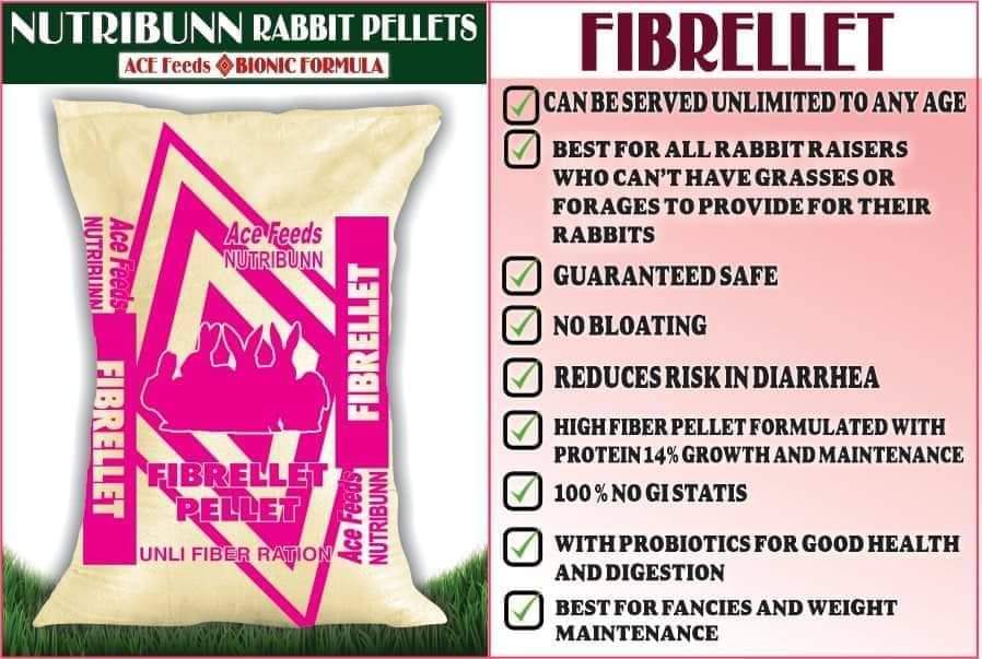 [RABBIT FEEDS] NUTRIBUNN RABBIT PELLET - FIBRELLET | Lazada PH