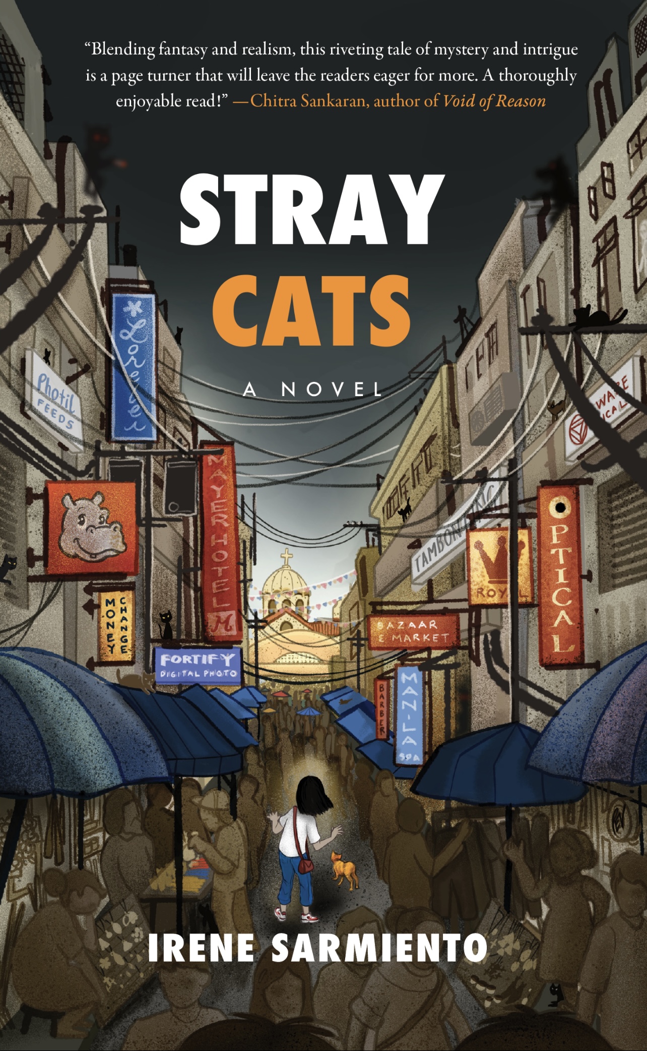 Stray Cats by Irene Sarmiento | Lazada PH