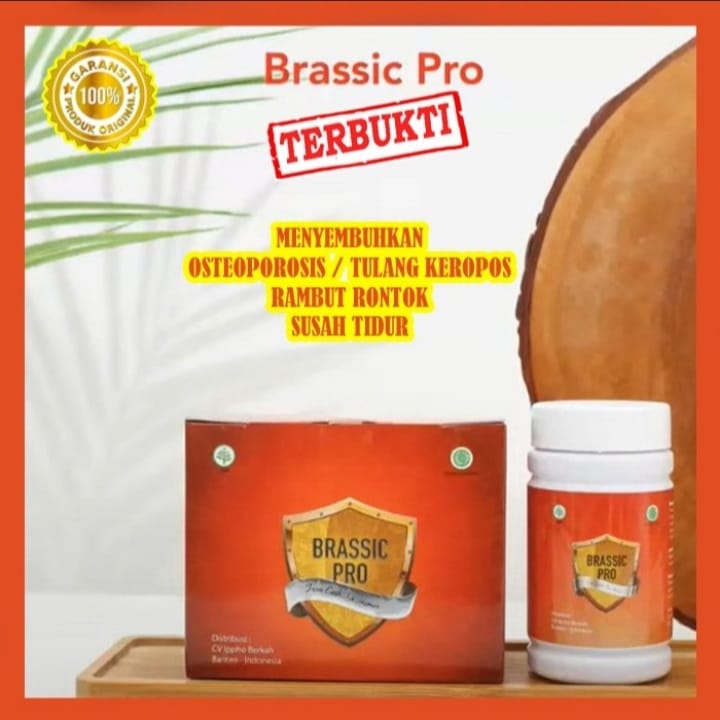 Brassic pro obat herbal untuk tulang keropos | Lazada Indonesia