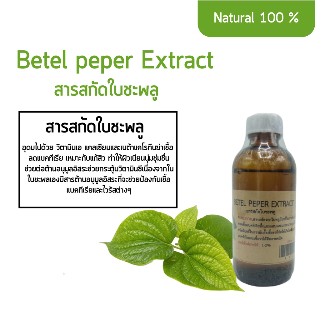 สารสกัดใบชะพลู Betel peper Extract | Lazada.co.th