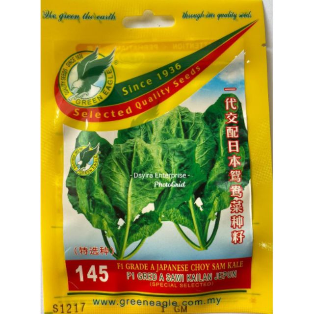 Benih F1 Gred A Sawi Kailan Jepun 1g(145)👉 F1 Grade A Japanese Choy Sam ...