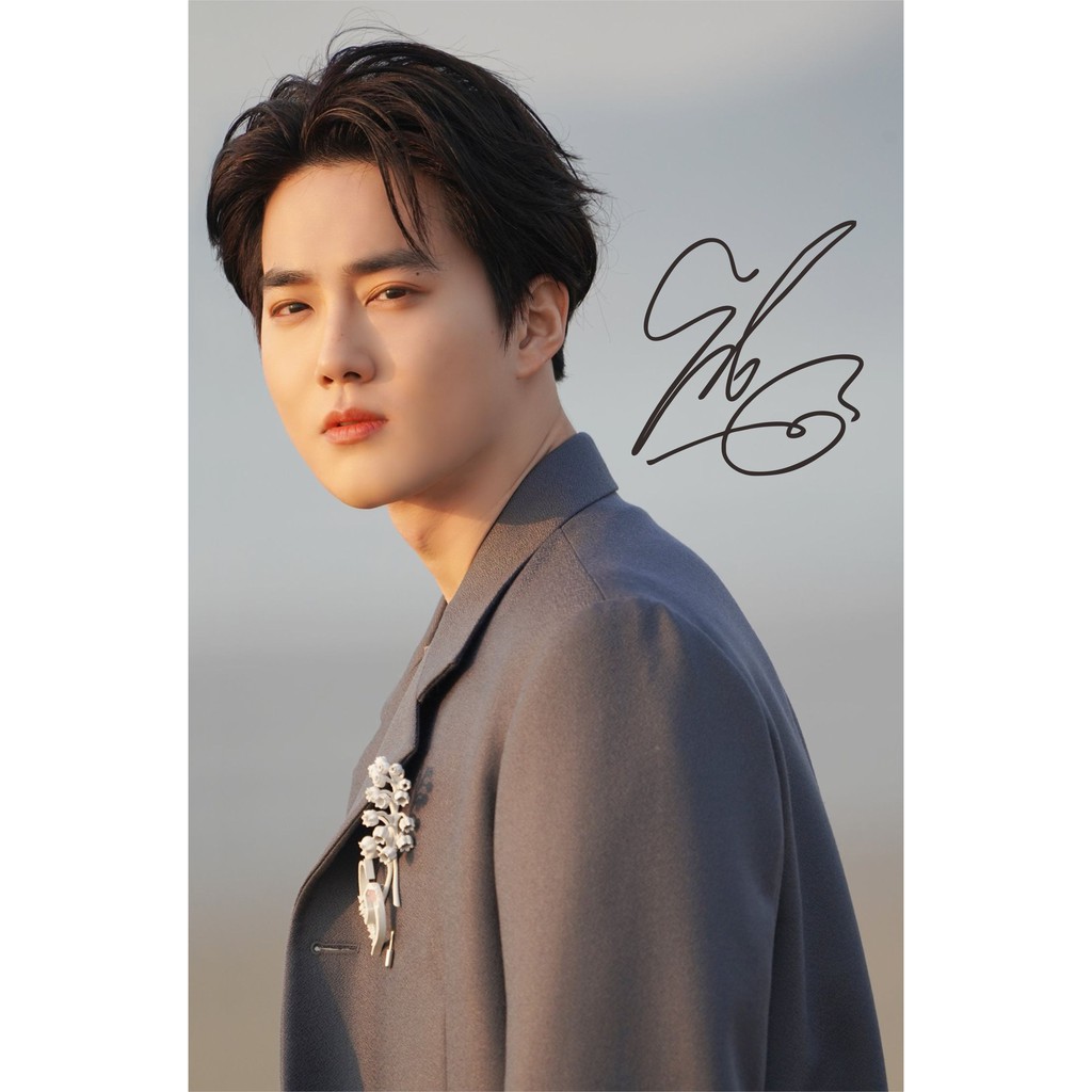 POSTER EXO SUHO SELF POTRAIT DENGAN TANDA TANGAN UKURAN A3+ | Lazada ...