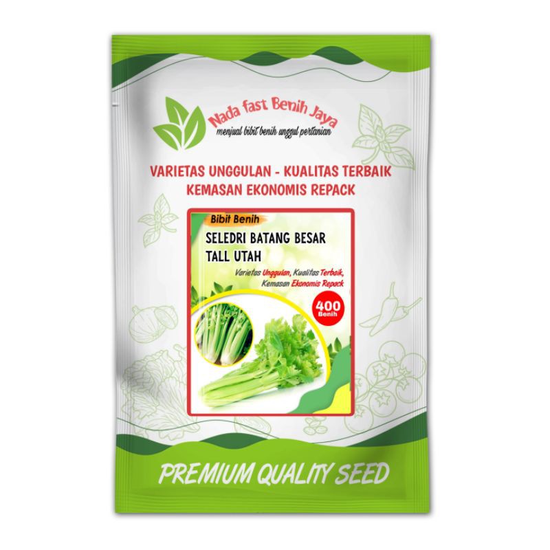 400 biji Benih seledri batang besar Celery Tall Utah - bibit Seledri ...