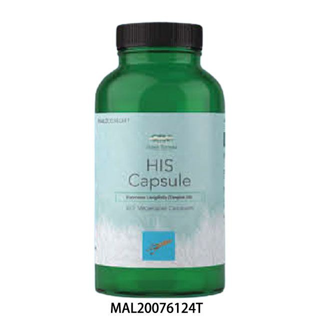 GREEN TAMERA HIS 60S | Lazada