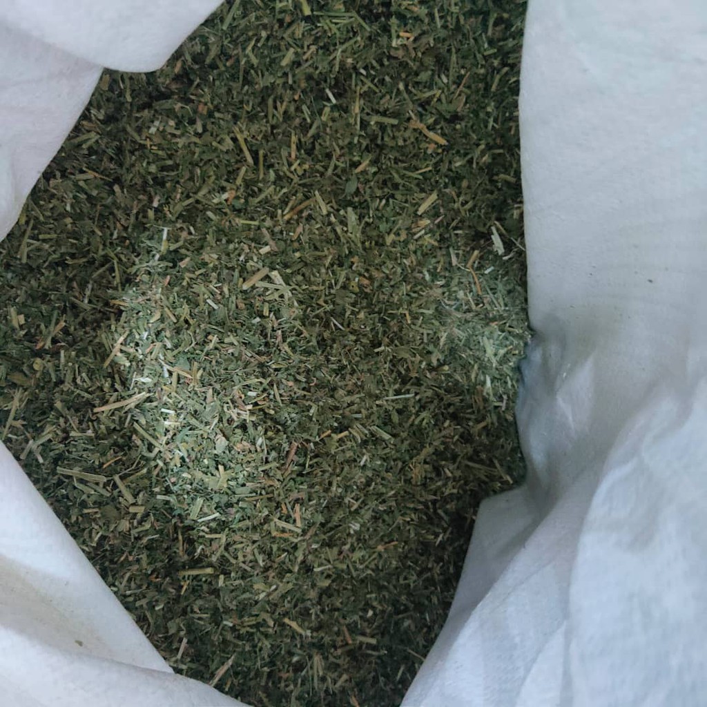 (READY STOK) ALFALFA CHAFF HAY 1KG RABBIT PREMIUM USA | Lazada