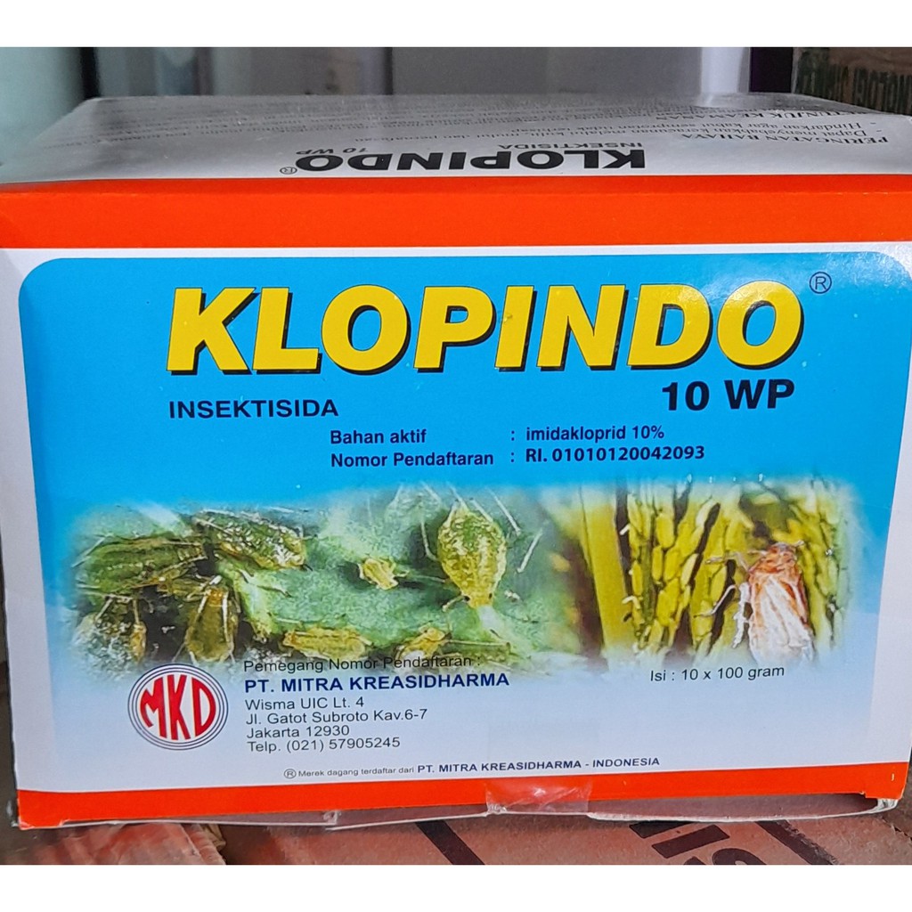 Klopindo 10 WP 100 gr insektisida | Lazada Indonesia