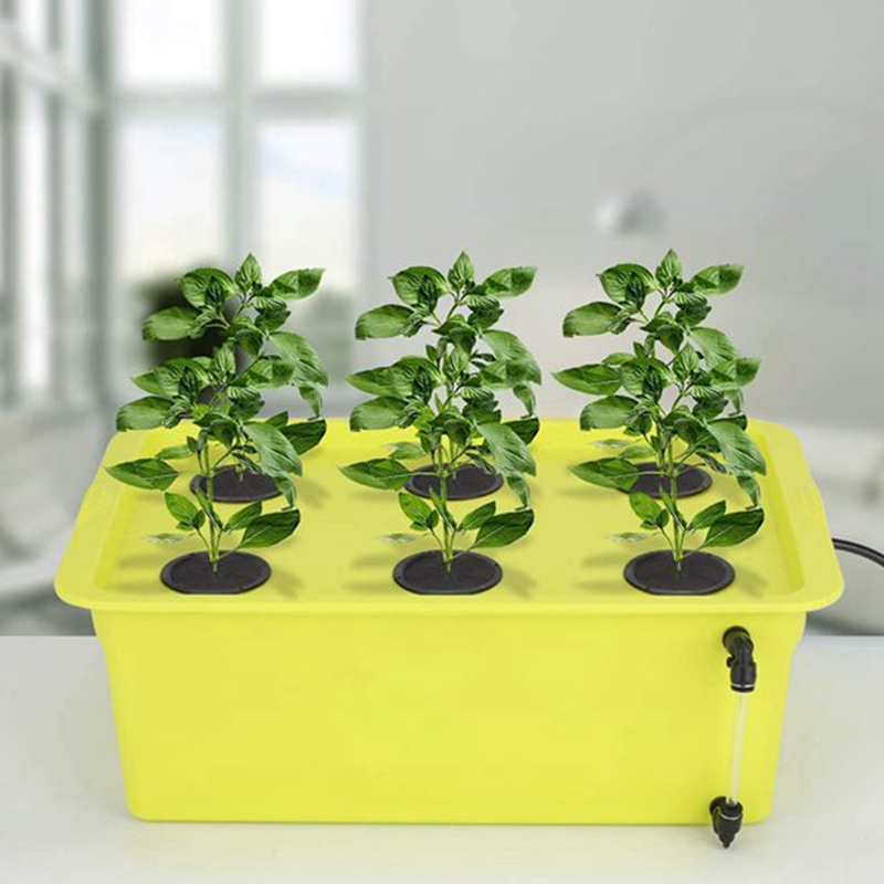 60pcs Garden Clone Collars Sponge Block For 2 Inch Cloning Machines 色々な