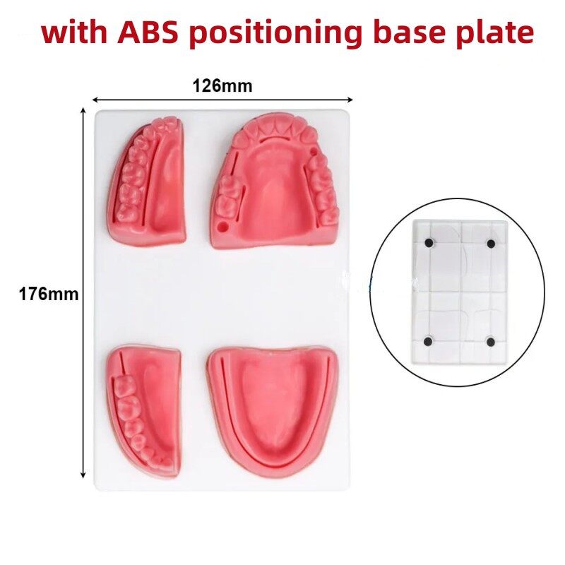 Dental Oral/Gingival Suture Module Periodontitis Suture Line Silicone ...