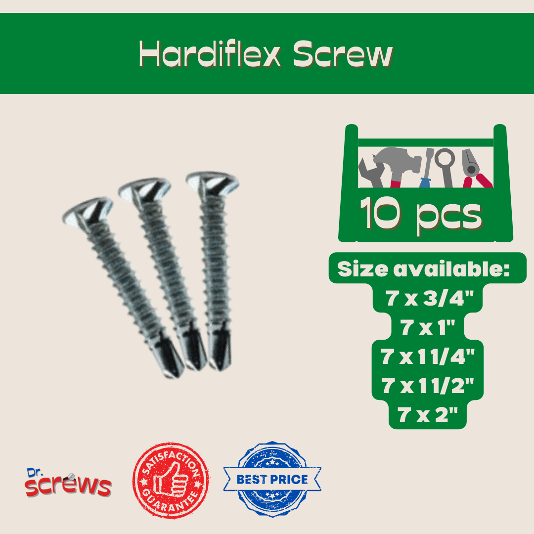 Hardiflex Screw | 10 Pcs | Lazada PH