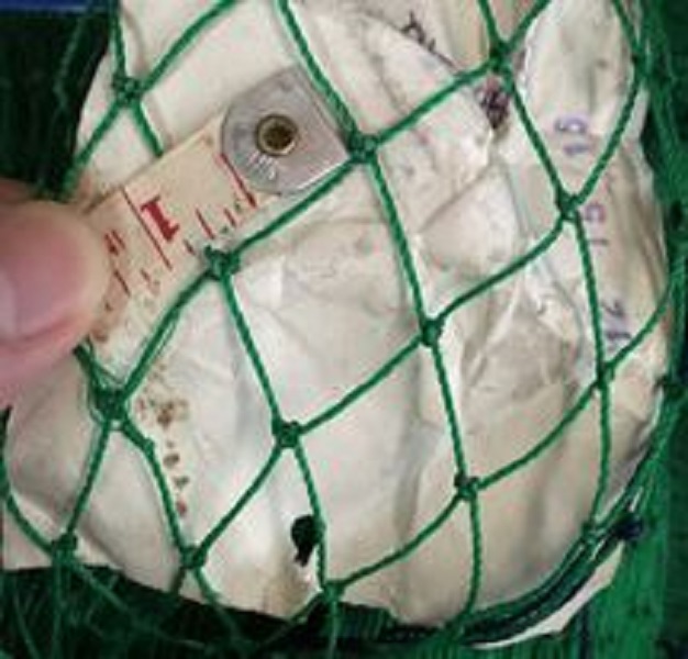 100 meters-0.75 inch x10ft-Range Net/Chicken Net/Poultry Net/Fishing ...