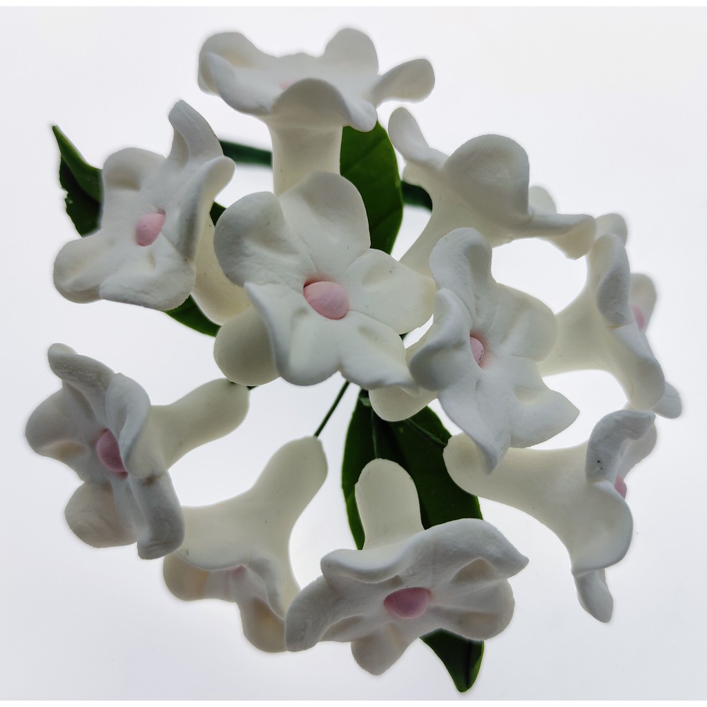 Jasmine Filler Spray Edible Cake Topper Gumpaste Flowers | Lazada PH