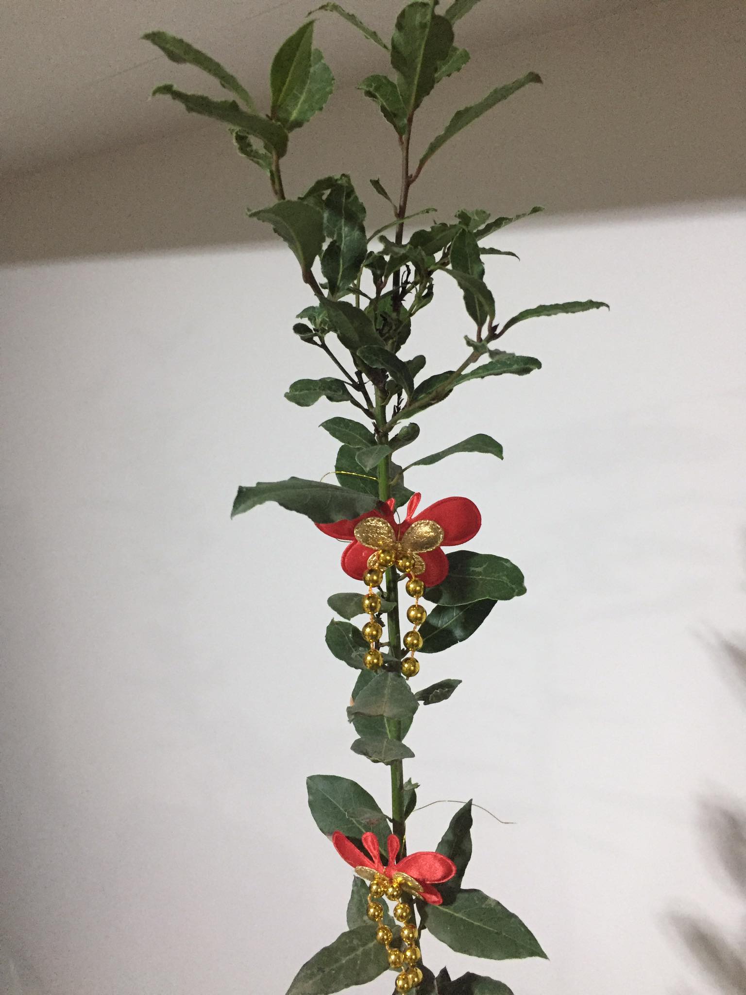 ORNAMENT for Lucky Laurel and other Plants 1pc (Palamuti para sa ...
