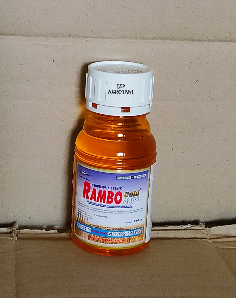 Rambo Gold 480SL Herbisida Obat Pembasmi Rumput Sampai ke Akar MAti ...