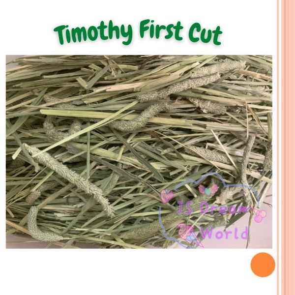 FIRST CUT Timothy Hay From US 1kg | Lazada