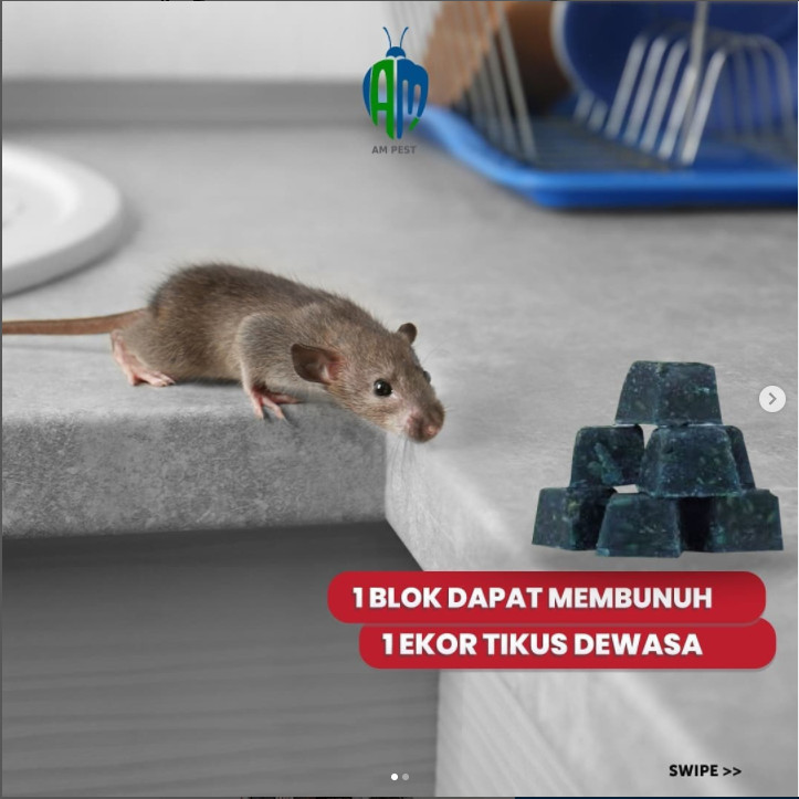 Ratrex Umpan Racun Pembasmi Koloni Tikus Tidak Berbau Aman 200 Gr ...