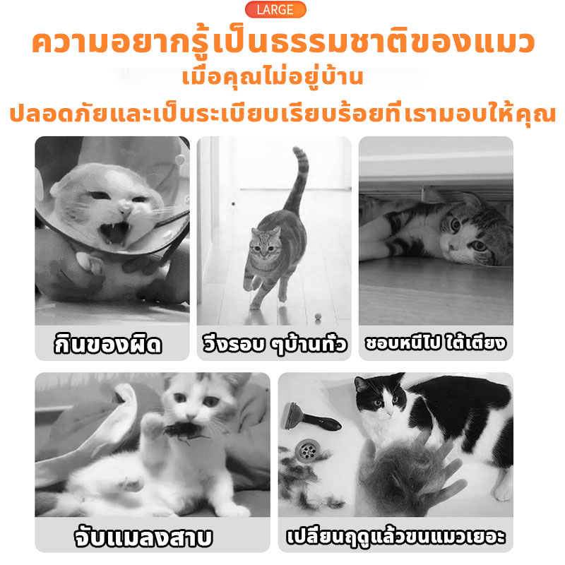 กรงแมวราคาถูกๆ คอกกรงสัตว์เลี้ยง 75*39*73cm DIYออกแบบกรงได้ตามต้องการ ๆ ไม่เป็นสนิม แข็งแรง ไม่ ...