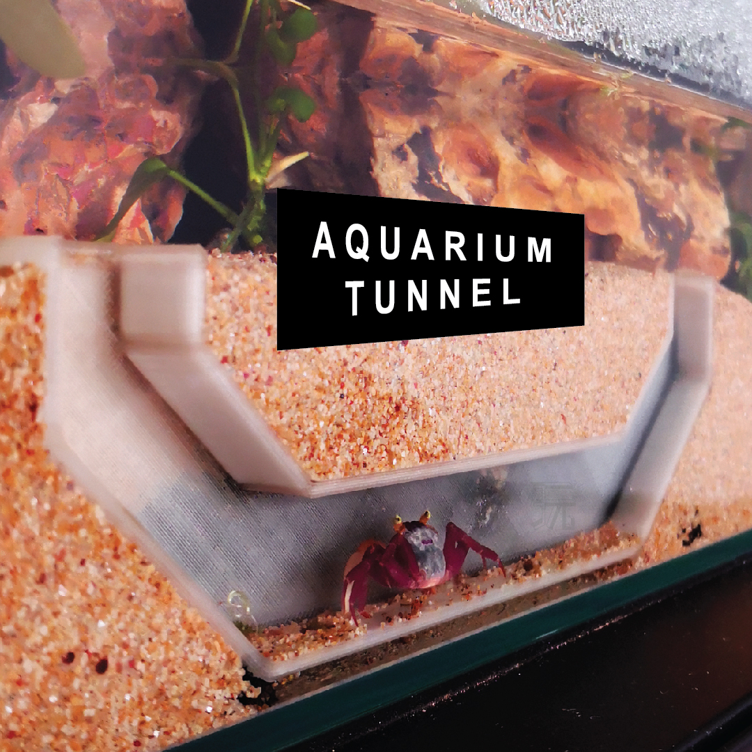 🇸🇬 Fish Tank Tunnel - 🐠 3D Printed Aquarium Accessories That Suit Your ...