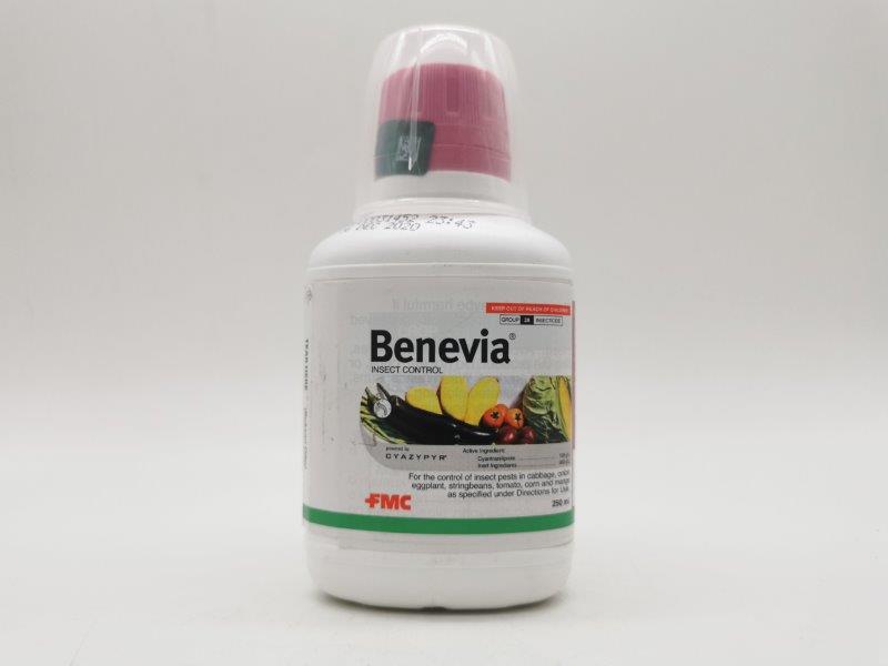 BENEVIA INSECT CINTROL 250 GRAMS | Lazada PH