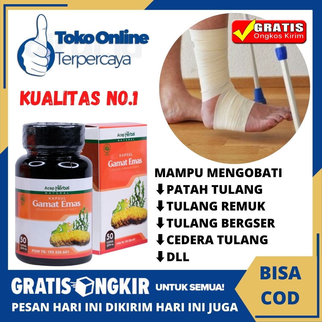 Obat Sambung Tulang Patah - Penyambung Tulang Yang Patah - Obat Supaya ...