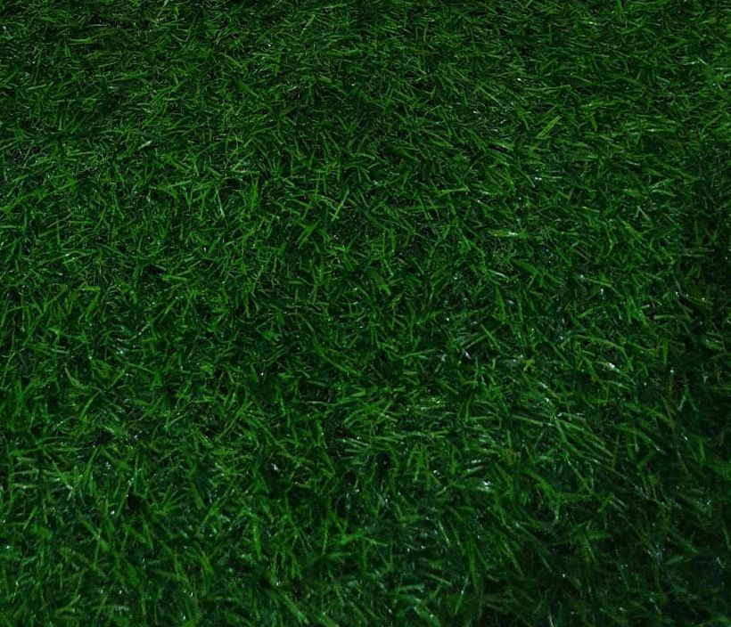 Rumput sintetis swiss bisa custom. Tinggi 25mm | Lazada Indonesia