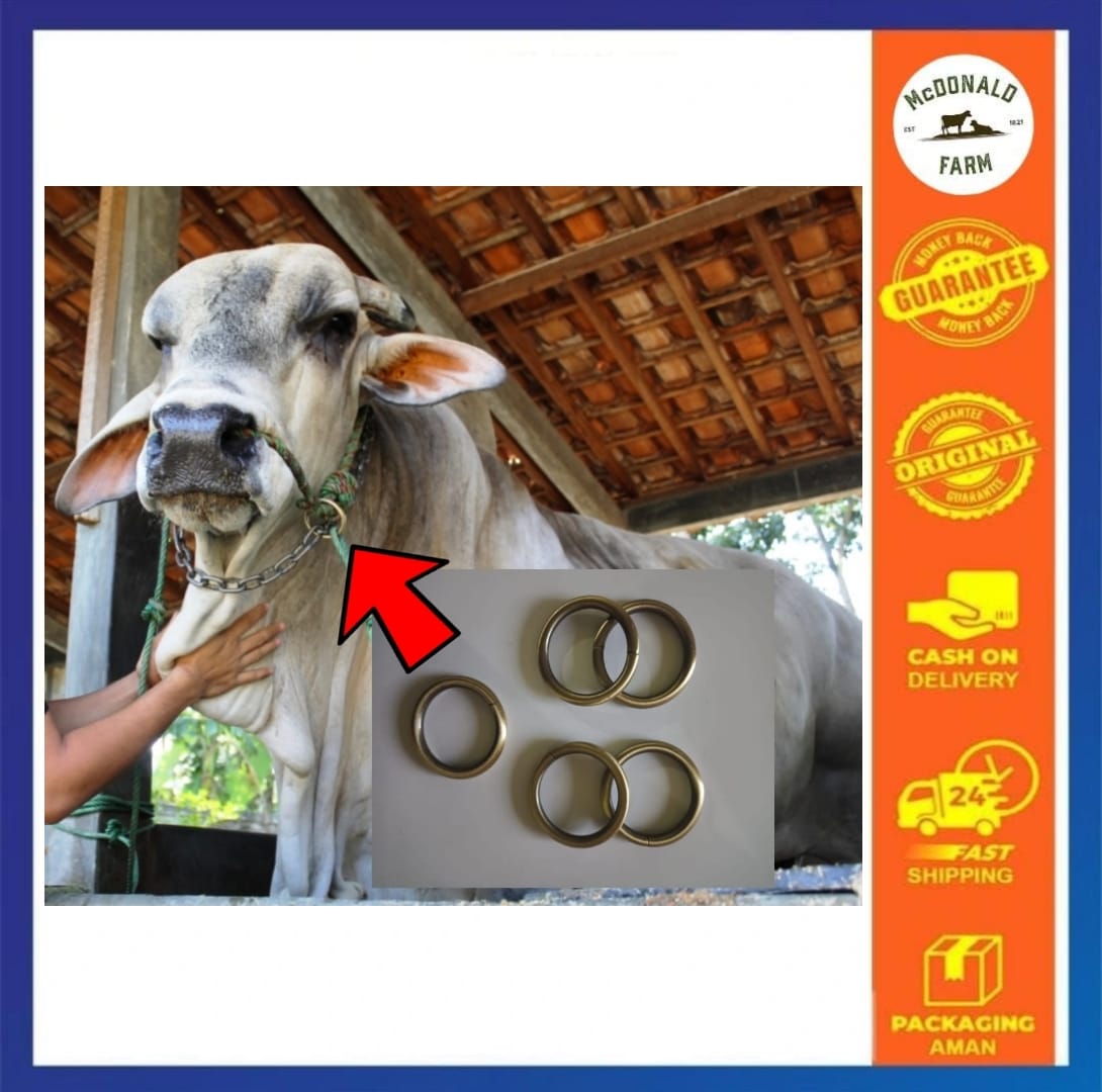 RING TALI SAPI / RING O BULAT , KERBAU , KUDA , RING SAPI | Lazada ...