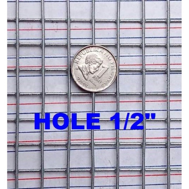 Per 1 /3 Mtr | 16 Welded Wire plating | For Rabbit Cage, Plant Pole ...