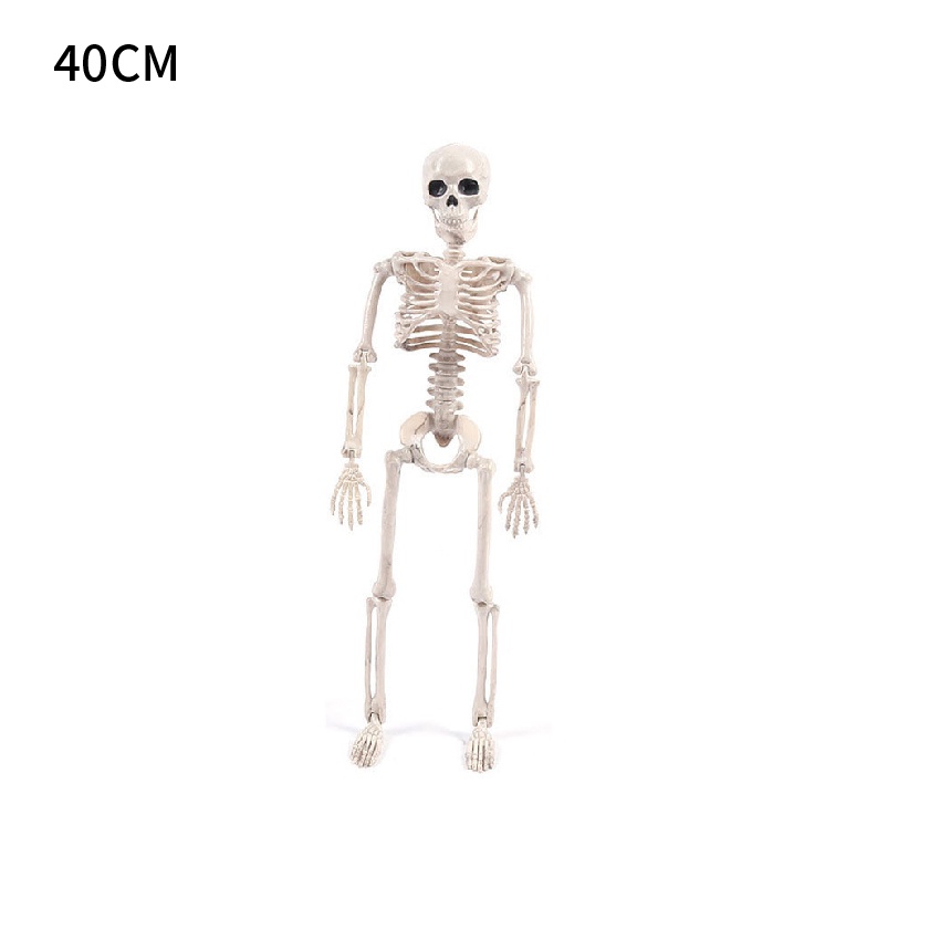 40/90cm Poseable Human Skeleton Anatomy Model for Halloween Scary Party ...