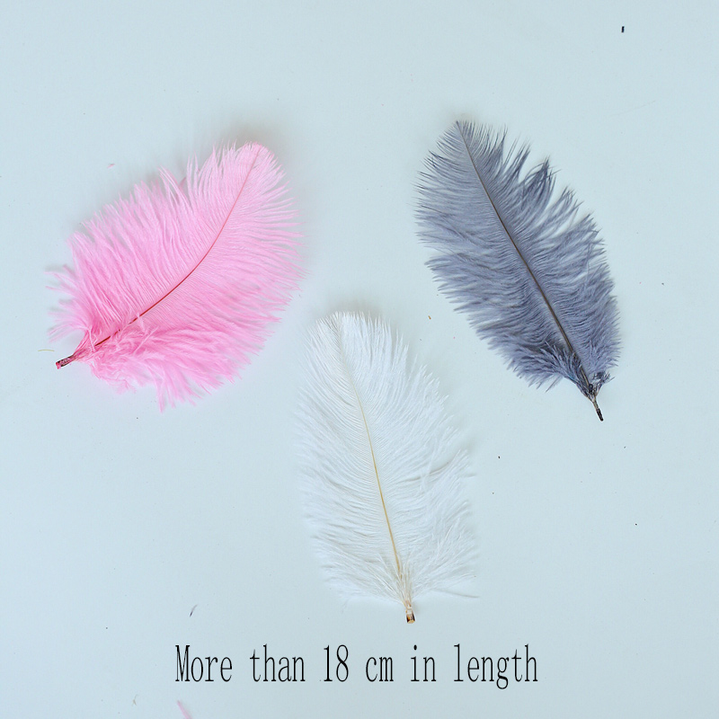 【VogueVenture】High Quality Natural Ostrich Feathers for Photography ...
