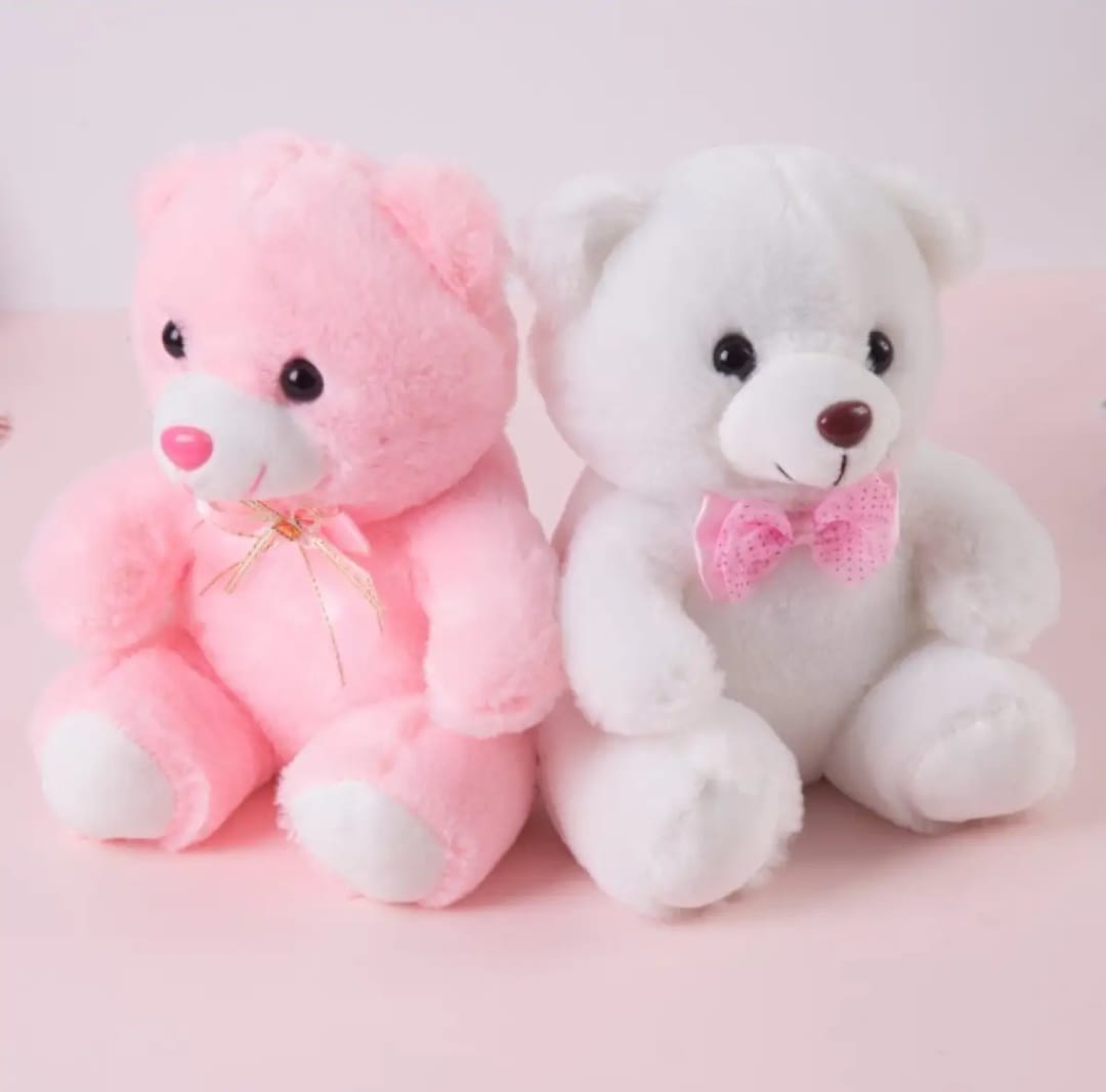 Cute Plush 10 Inches Size Teddy Bear - Multicolour - T10900 | Daraz.pk