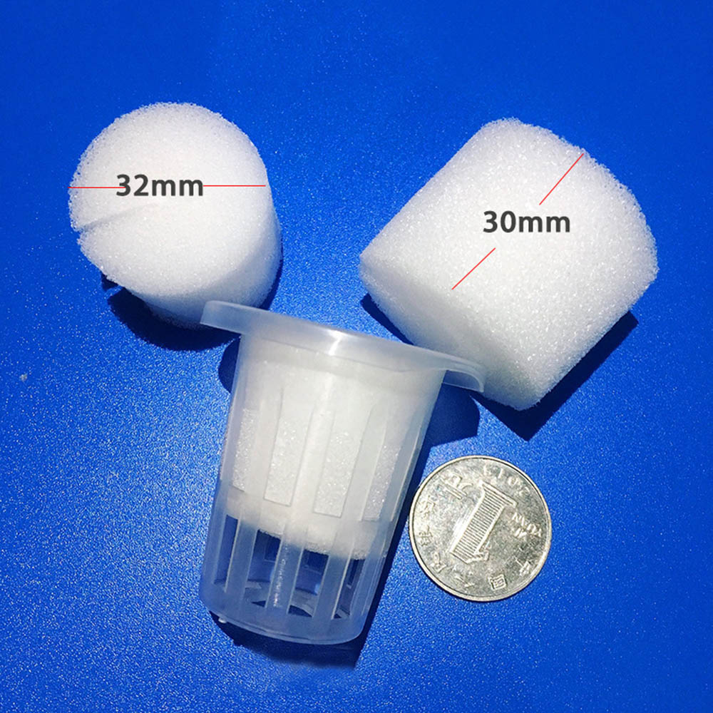 ZXCVX 50 Pcs ธรรมชาติไม่เป็นอันตรายโฮมเมดปลูกฟองน้ำผักปลูกด้วยน้ำ ...