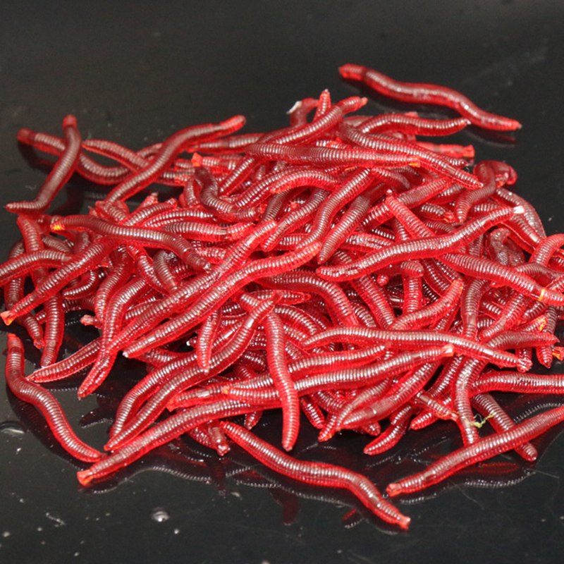 Tong 100Pcs Silicone Red Worm Soft Lures Earthworm Rubber Baits Shrimp ...