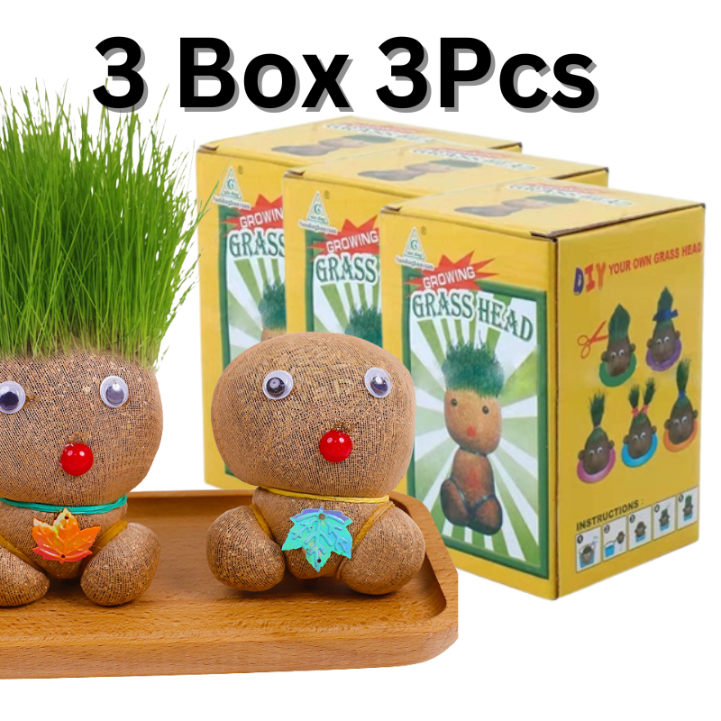 Kids Cute Grass Head Doll Big Eyed Flat Headed Rye Grass Office Desktop ...