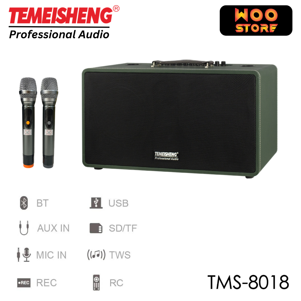 TEMEISHENG Dual/ Double 8" Portable Active Karaoke Speaker System (100W ...