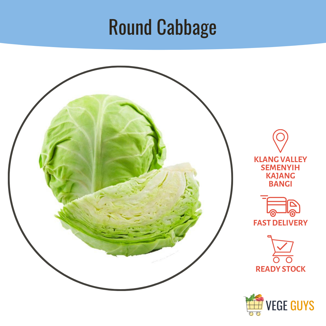 Round Cabbage 包菜 (+/- 1kg) | Lazada
