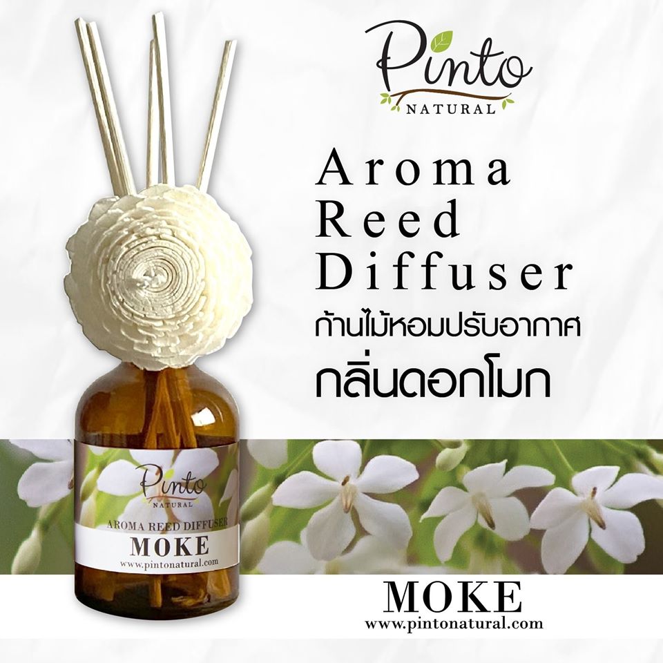 Pinto Natural Aromatic Reed Diffuser ก้านไม้หอมปรับอากาศ กลิ่นดอกโมก ...