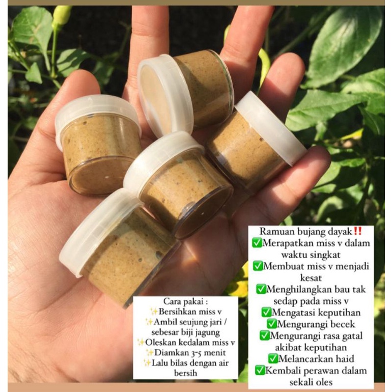 PROMO !!! Ramuan Dayak Asli Ramuan Tradisional Kalimantan Krim Dayak ...