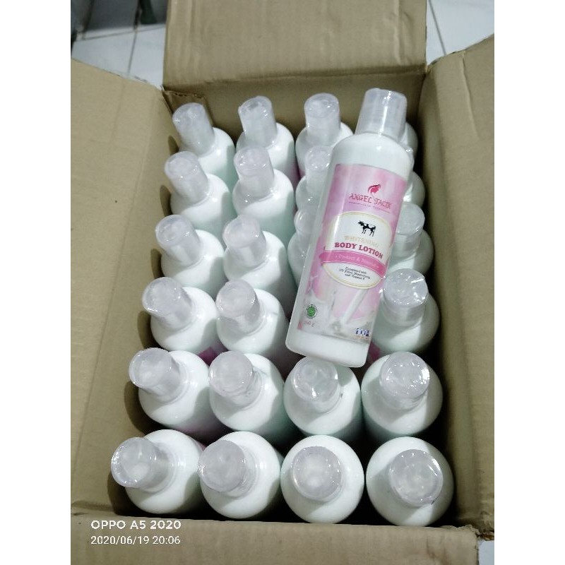 1 KARTON HANDBODY PEMUTIH ANGEL TACIK SKINCARE BODYLOTION (48 PCS ...