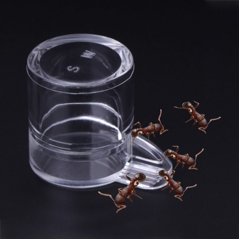 Mini Practical Durable Transparent Round Acrylic Ant Nest House Reptile ...