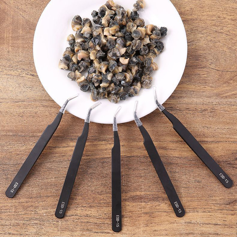 Stainless Steel Screw Clip Quick Field Screw Snails Meat Picking Tool ...