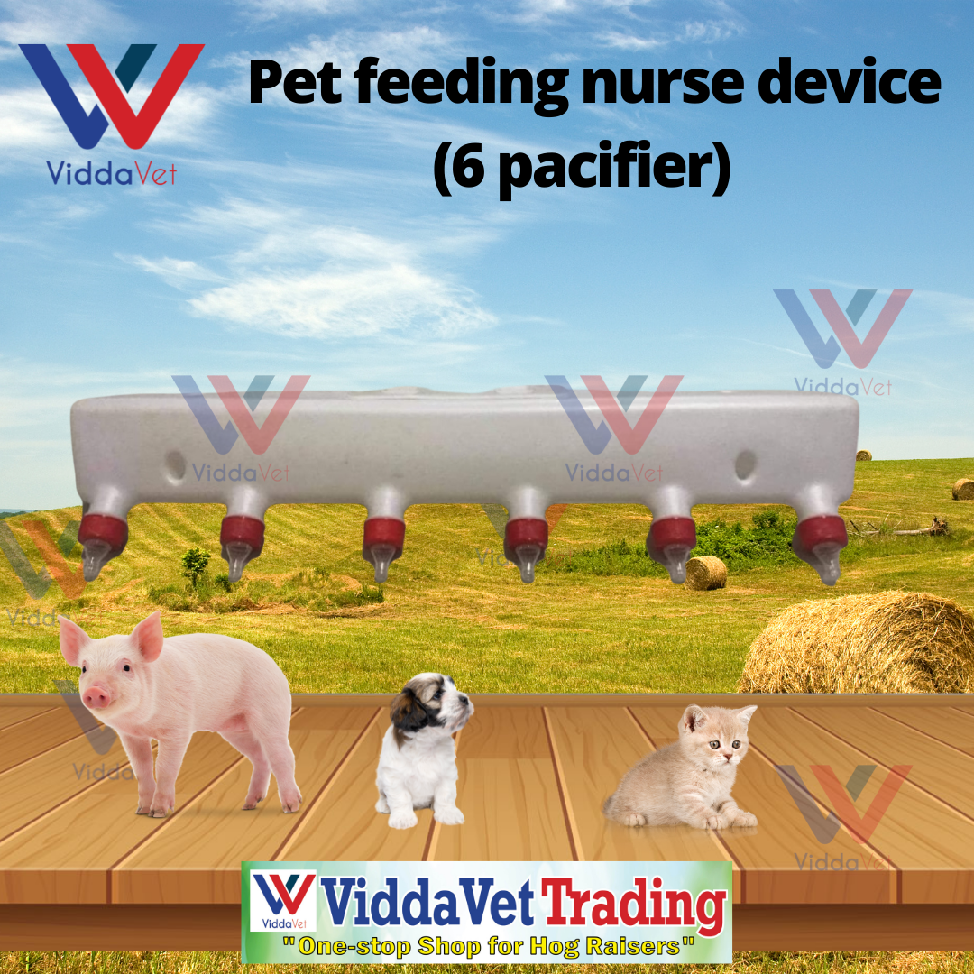 NEW 6-Pacifier Pet Nursing Equipment for Young Animals / Viddavet ...
