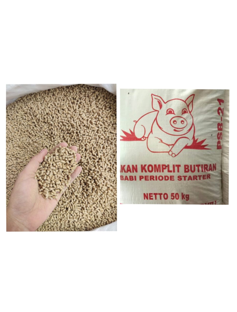 Repack pakan ayam/pur babi merk PSB-21 ukuran 1kg | Lazada Indonesia
