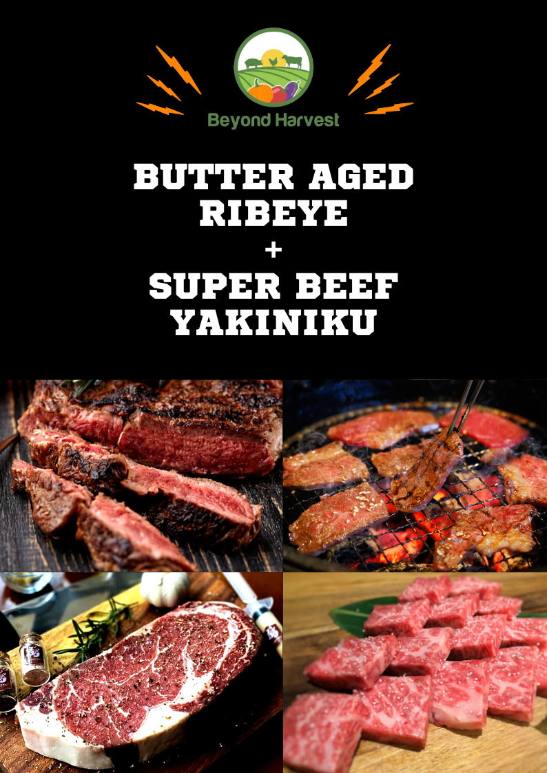 Butter Aged Ribeye and Super Beef Yakiniku Package Frozen | Lazada PH