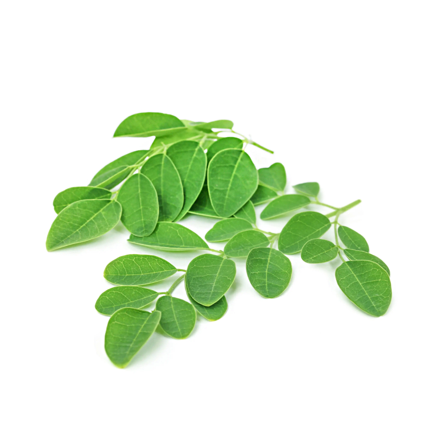 Malunggay Leaves (100g) | Lazada PH