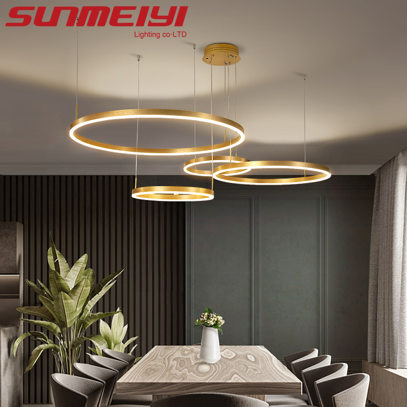 SUNMEIYI Hanging Led Ceiling Light Made of Brushed Rings, Modern Design ...